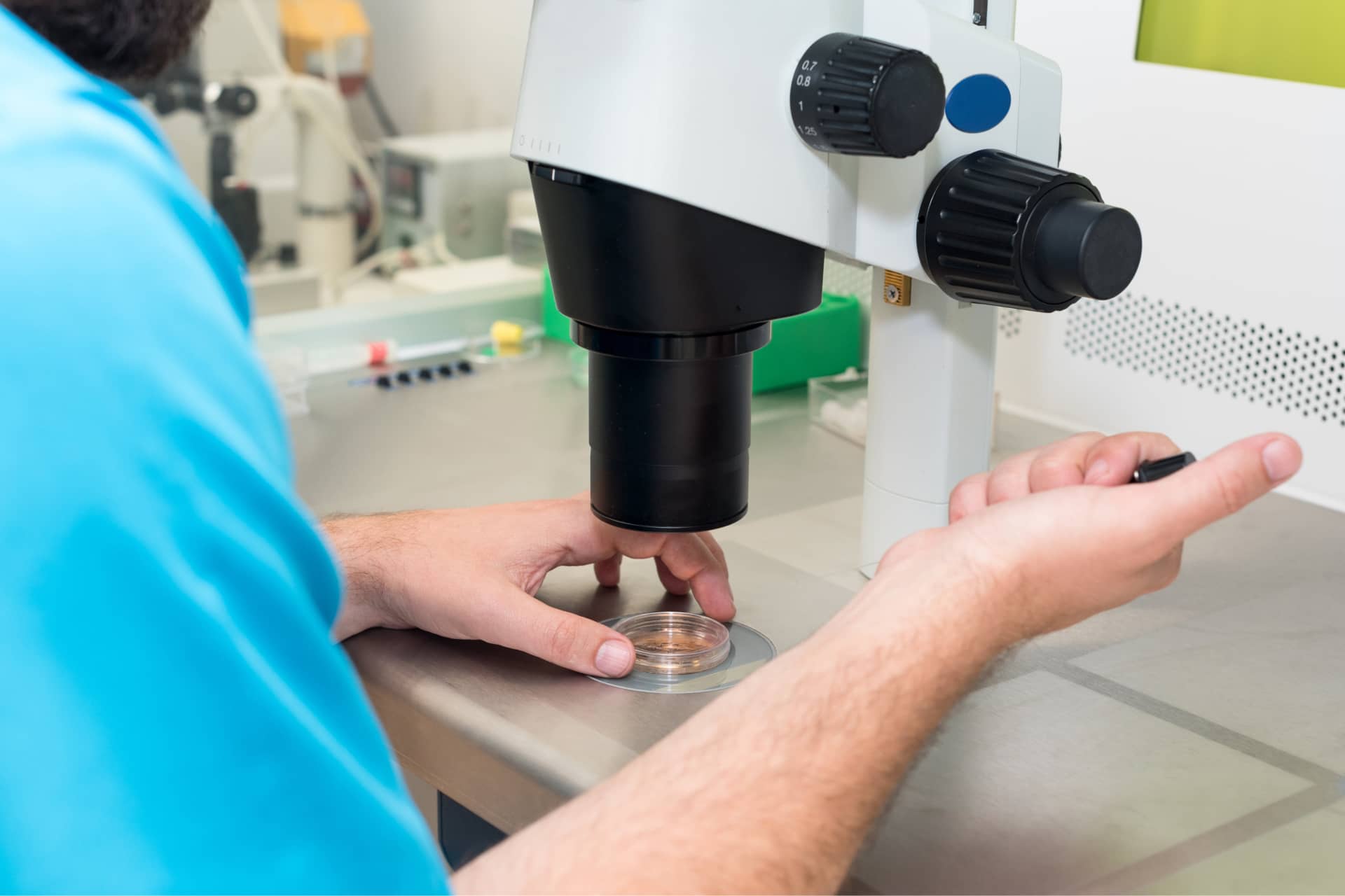 Single vs. Multiple Embryo Transfer with IVF