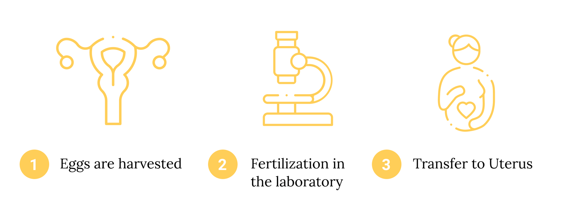 Pre-Implantation Genetic Screening | PGD and PGS/PGT-A | PFCLA