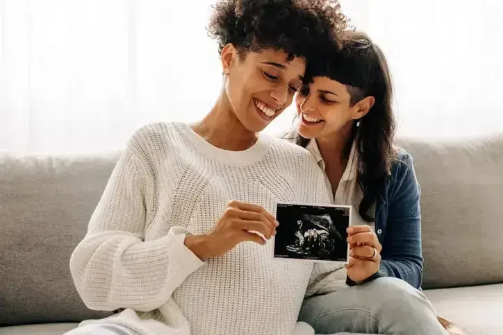 Reciprocal Ivf Guide For Lesbian Couples Pfcla
