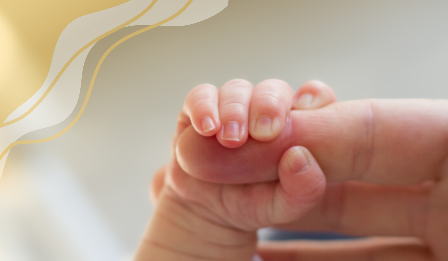 ACHC Accreditation: A Milestone for PFCLA and How It Benefits You