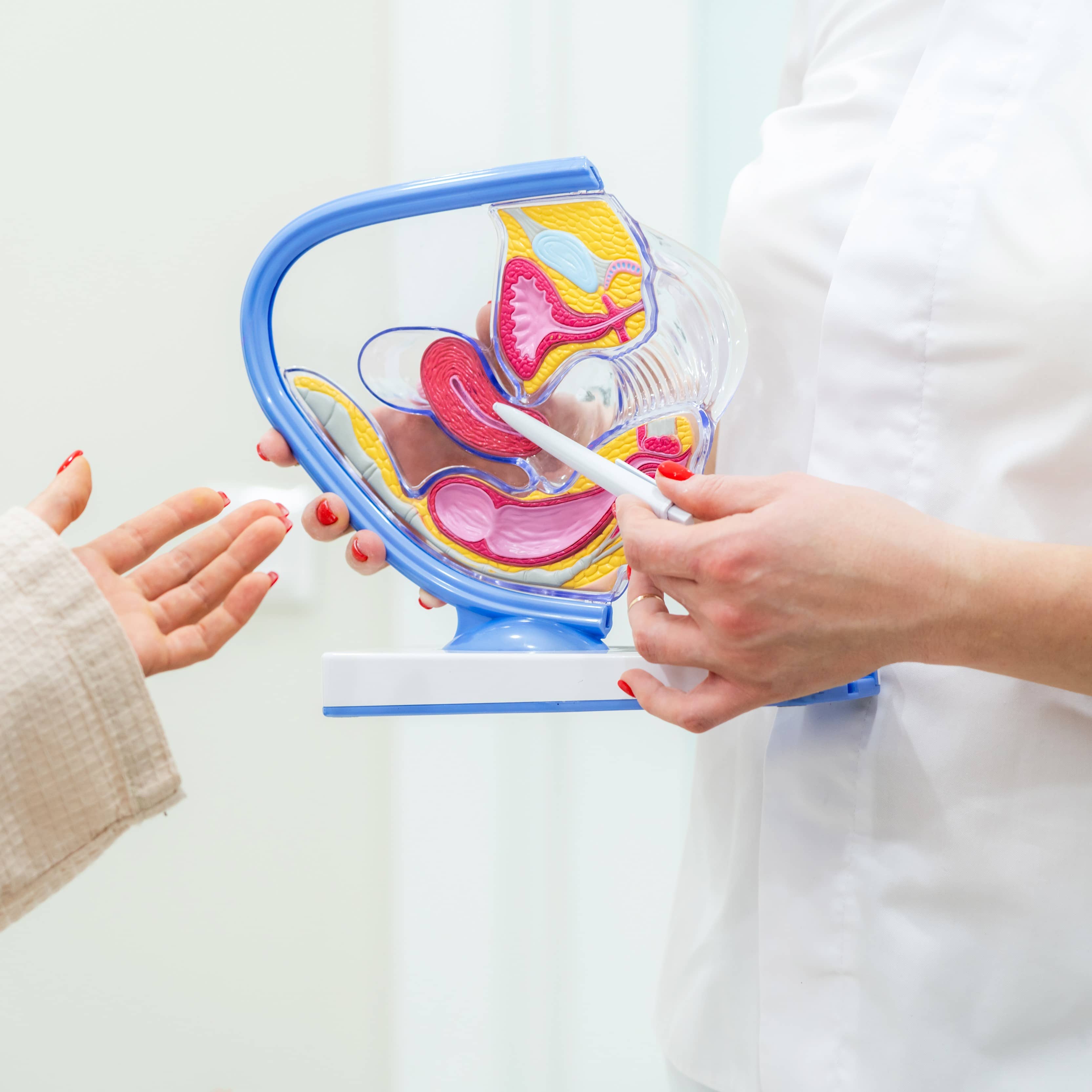 Pacific Fertility Center of Los Angeles | Top-Rated IVF Clinic